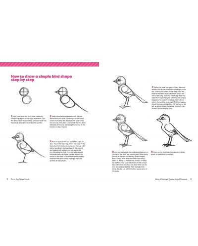 how to draw manga birds