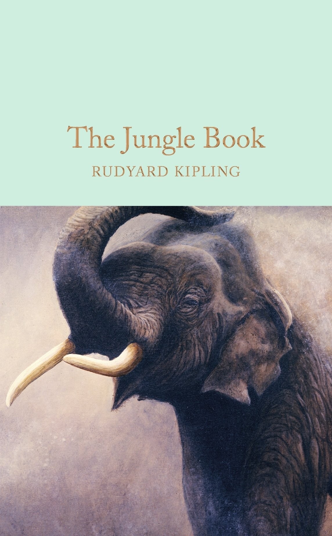 Macmillan Collector's Library: The Jungle Book | Ozone.hr