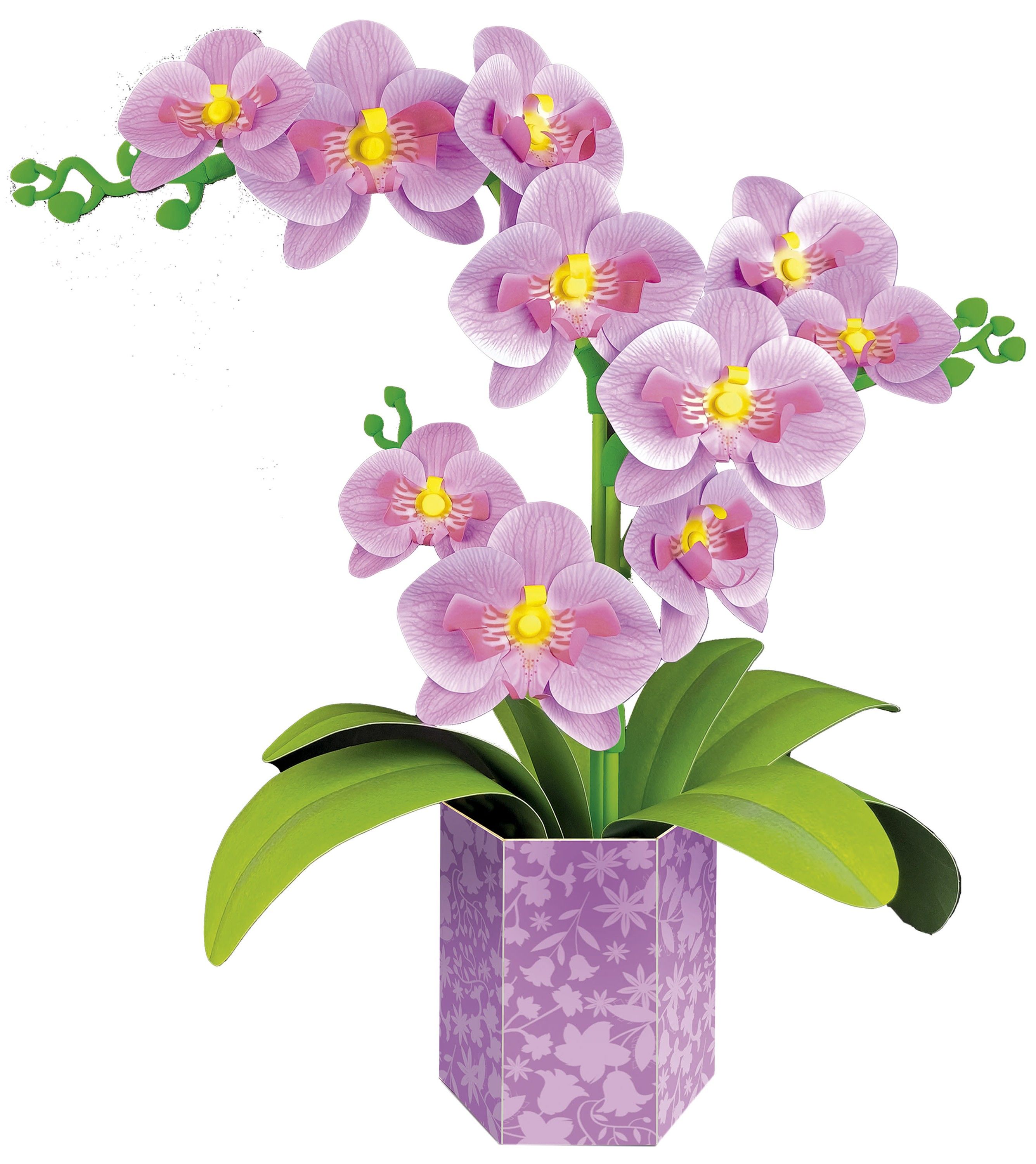 3D slagalica Educa - Orhideja | Ozone.hr